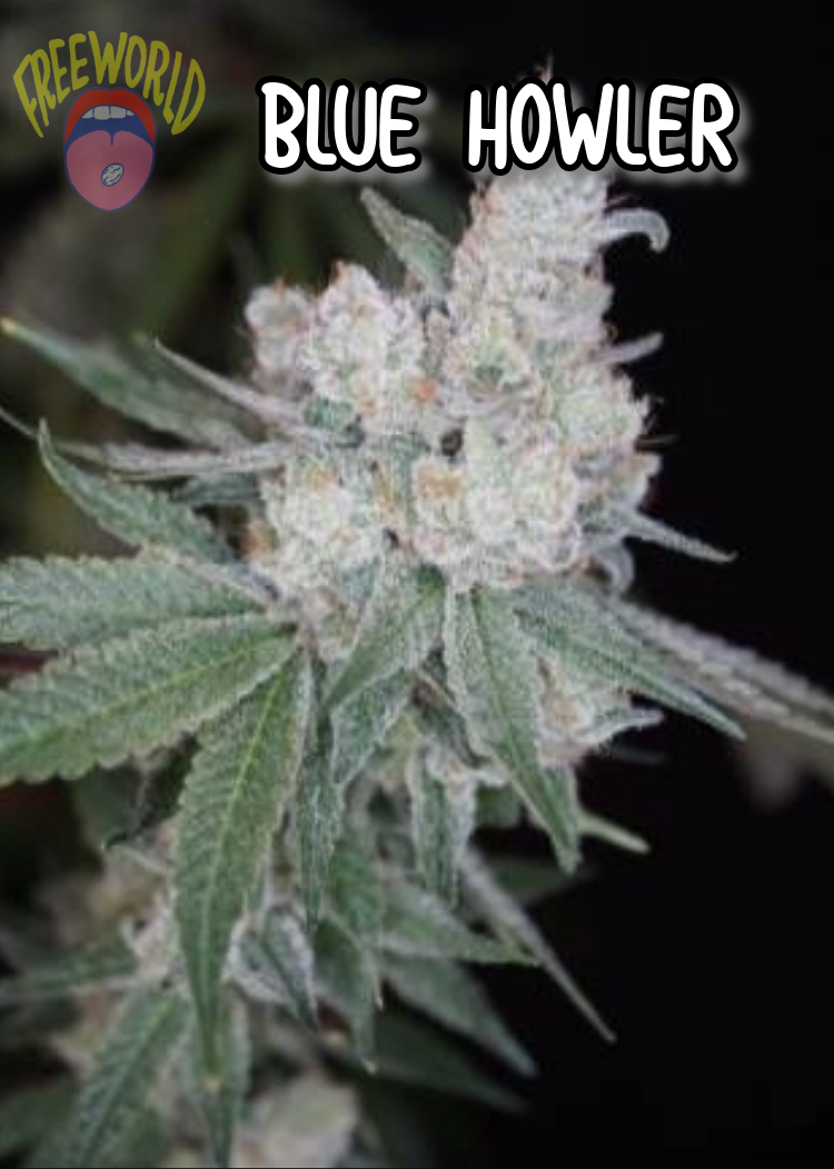 Blue Howler - Freeworld Seed Vault